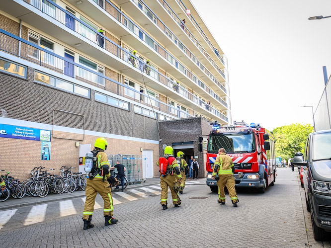 Krimpenerwaard | AD.nl