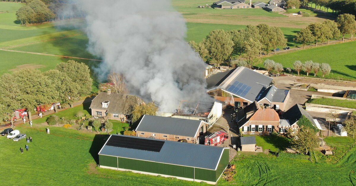 Tien kalveren dood bij grote brand in Kring van Dorth, boer gewond bij ...