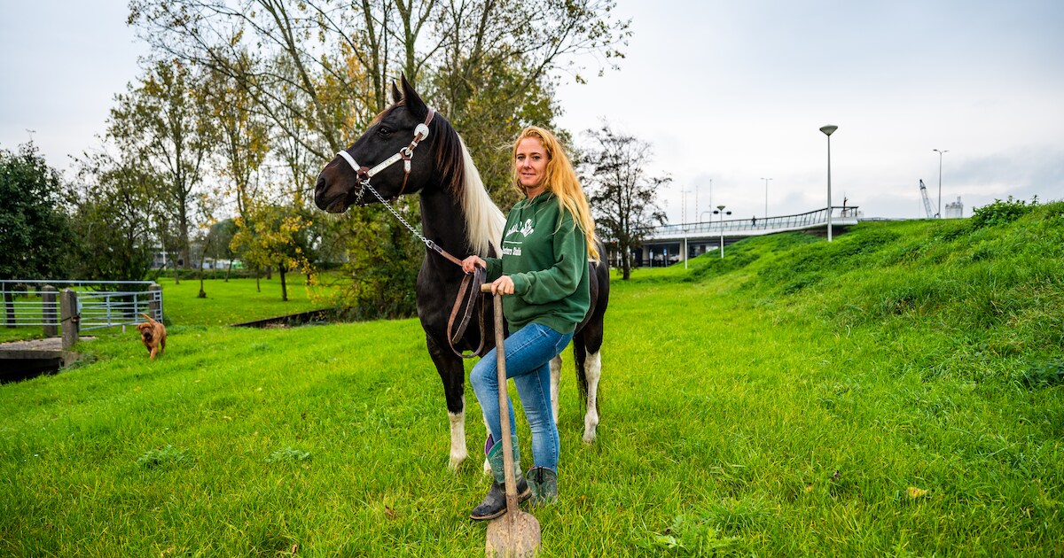 Manege eist tonnen schadevergoeding en schoonmaak gifgrond: ‘Als je ...