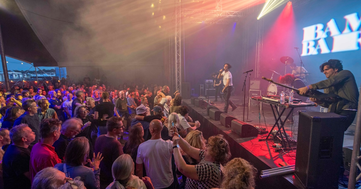 Nieuwe namen voor festival Misty Fields in Heusden | Regio | AD.nl