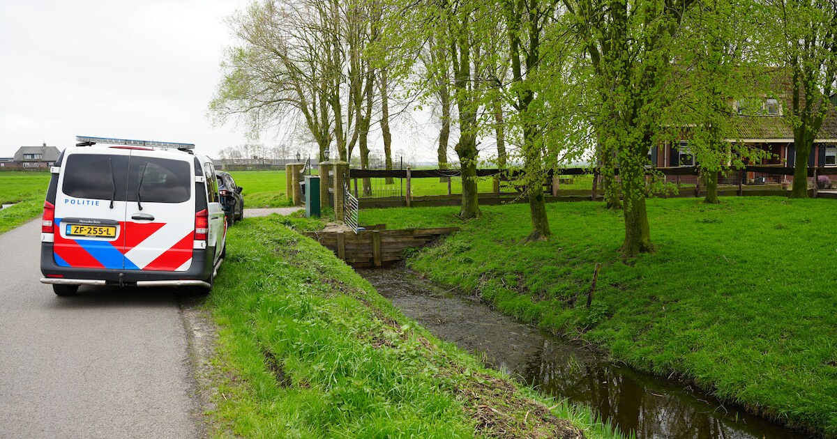 Controle bij boer bij wie vorig jaar verwaarloosde koeien werden ...