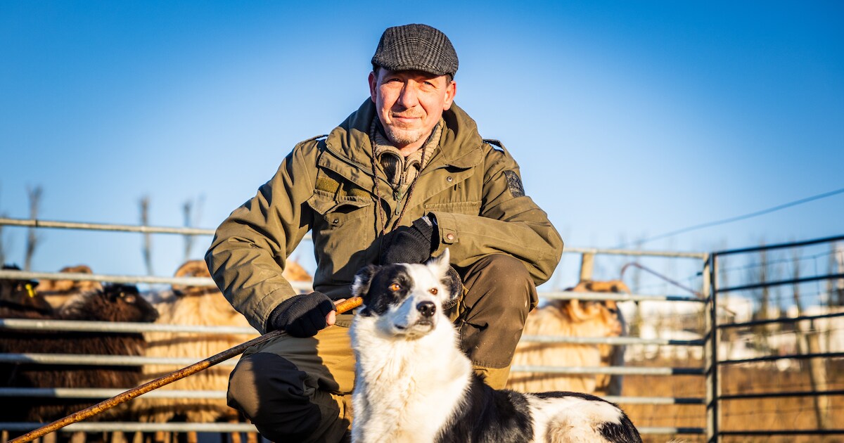 Sander traint honden die na hun training wel 10.000 euro kosten: ‘Prima ...