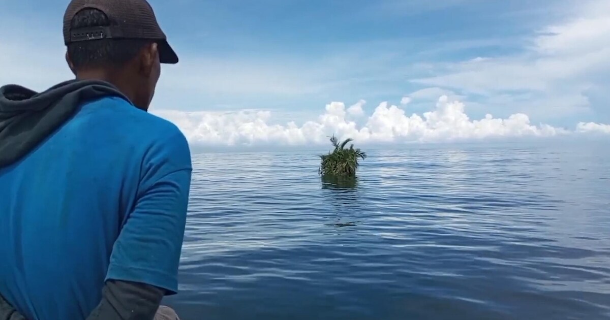 VIDEO | Indonesische vissers vinden piepklein drijvend eiland op zee ...