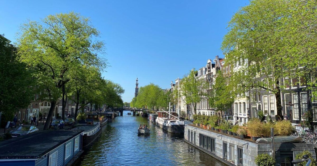 Wist jij dit? 3 x feitjes over de gemeenteraadsverkiezingen in ...
