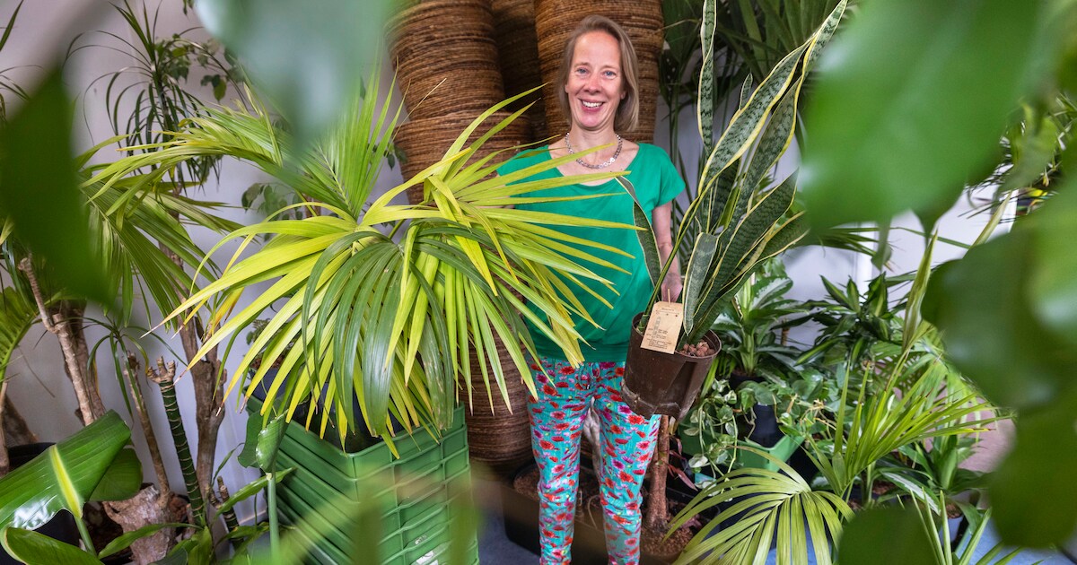 Na auto’s en wasmachines, kun je bij Rolien ook planten leasen ...