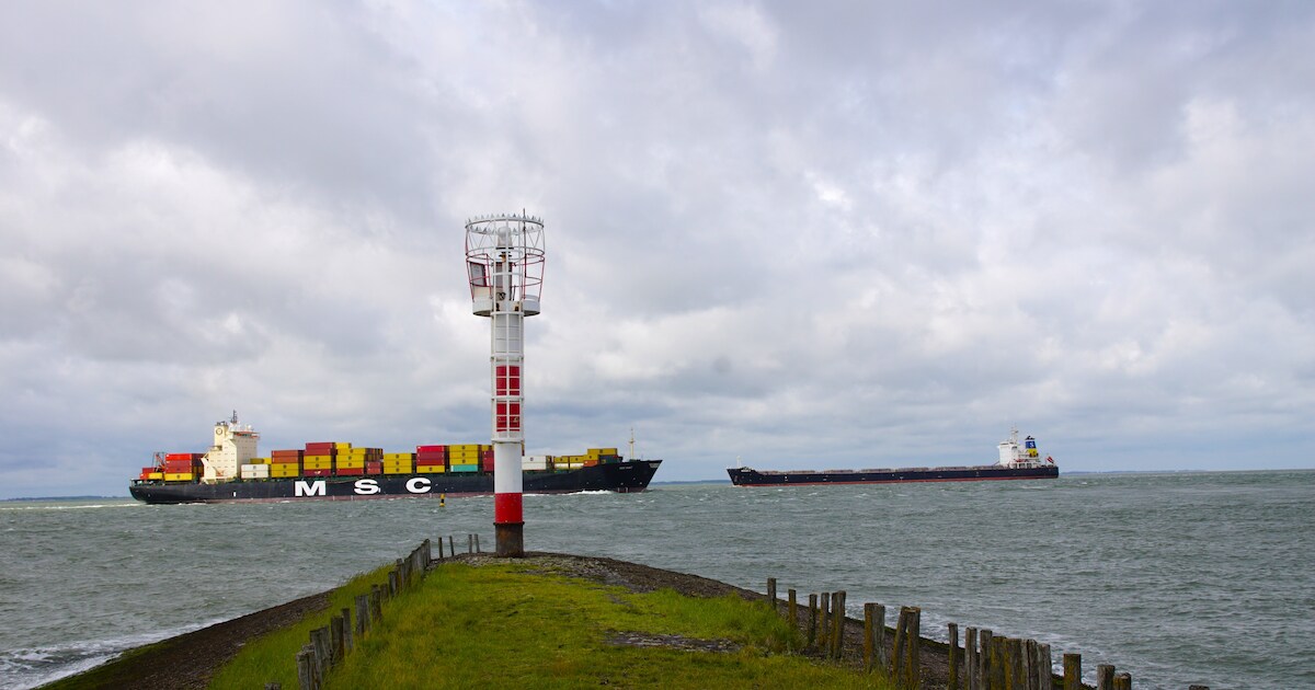MIJN FOTO | Indrukwekkende reuzen op de Westerschelde | Borsele | AD.nl
