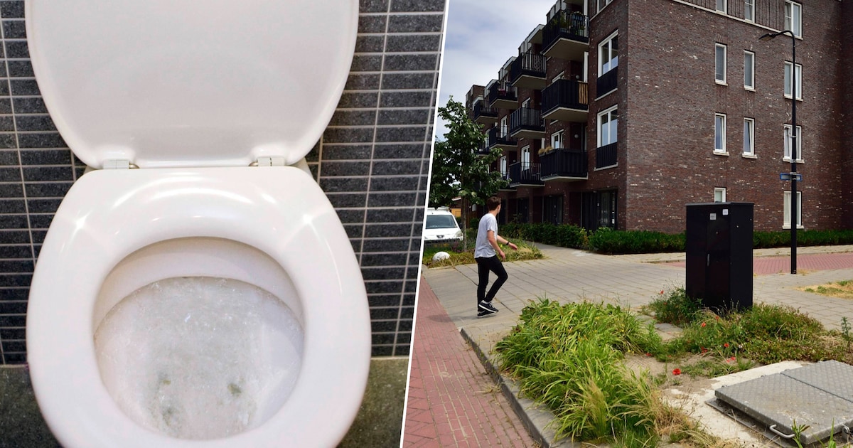 Wc-water komt omhoog en enorme stank: bewoners zijn problemen met riool ...