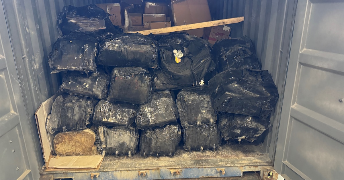 Douane vindt honderden kilo’s cocaïne in Rotterdamse haven, verstopt in ...