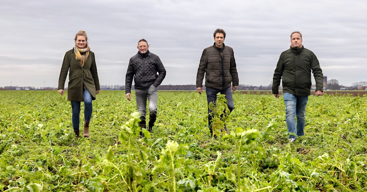 Bedrijven niet in de rij voor het compenseren van hun uitstoot bij de ...