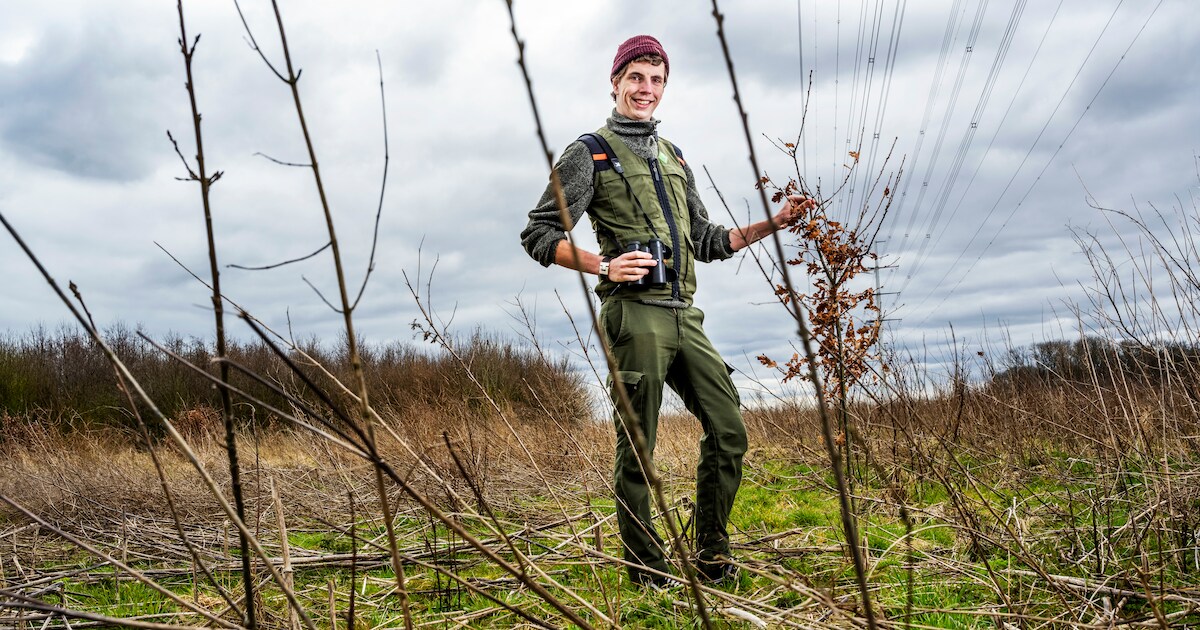 Beheerder neemt publiek mee het bos in vóórdat de kettingzagen in actie komen | Alphen aan den ...
