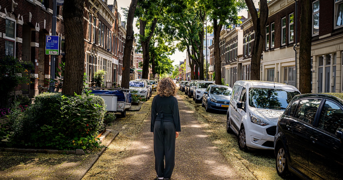 Josephine (26) ontsnapte aan Rotterdamse serie-aanrander: ‘Zijn blik ...