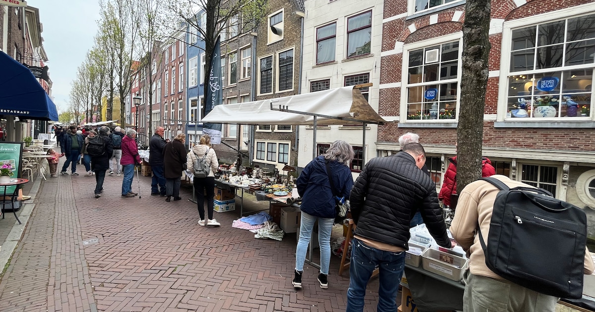 Weekendtips: deze dingen doe je in Delft (5 - 7 juni) | Regio | AD.nl