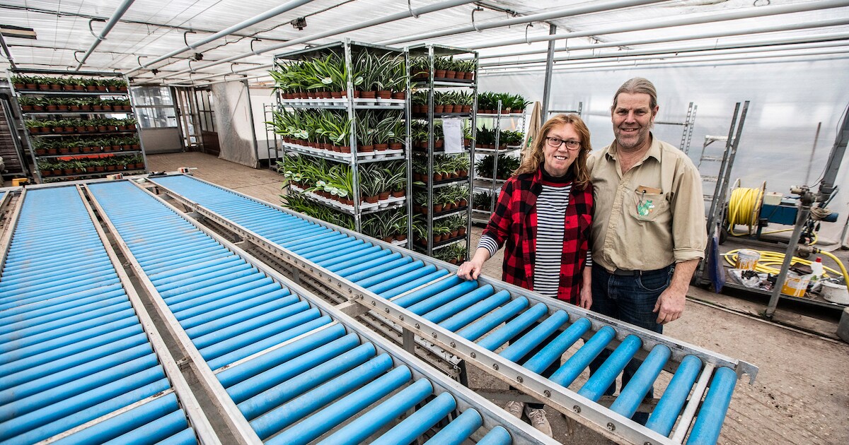 De familie Scheffers viert kerst in de kas, zodat ze toch met z'n ...