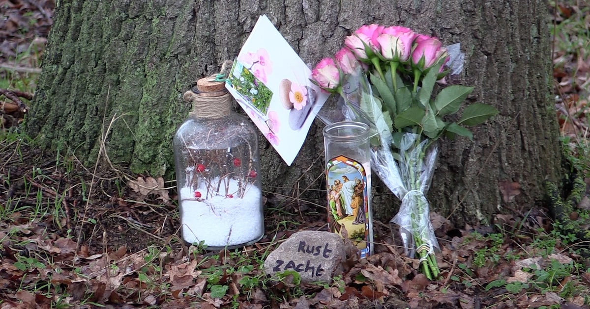 Vermoorde Lotte (14) dacht zwanger te zijn en bekocht dat mogelijk met ...