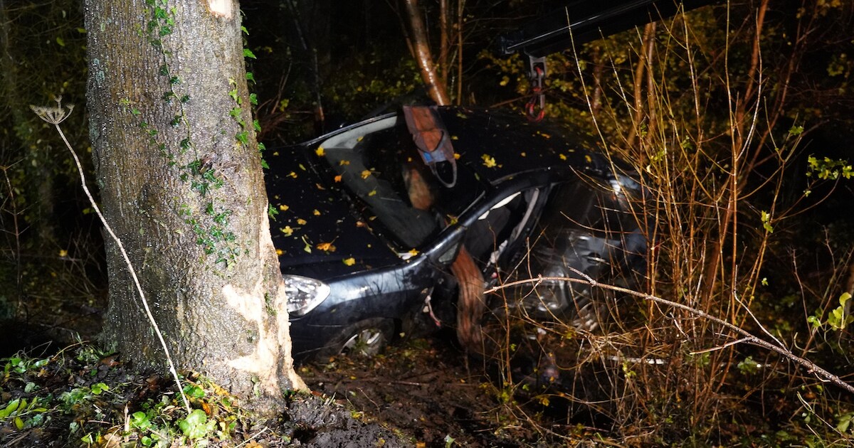 Auto botst tegen boom en belandt in greppel bij Moerdijk, bestuurder ...