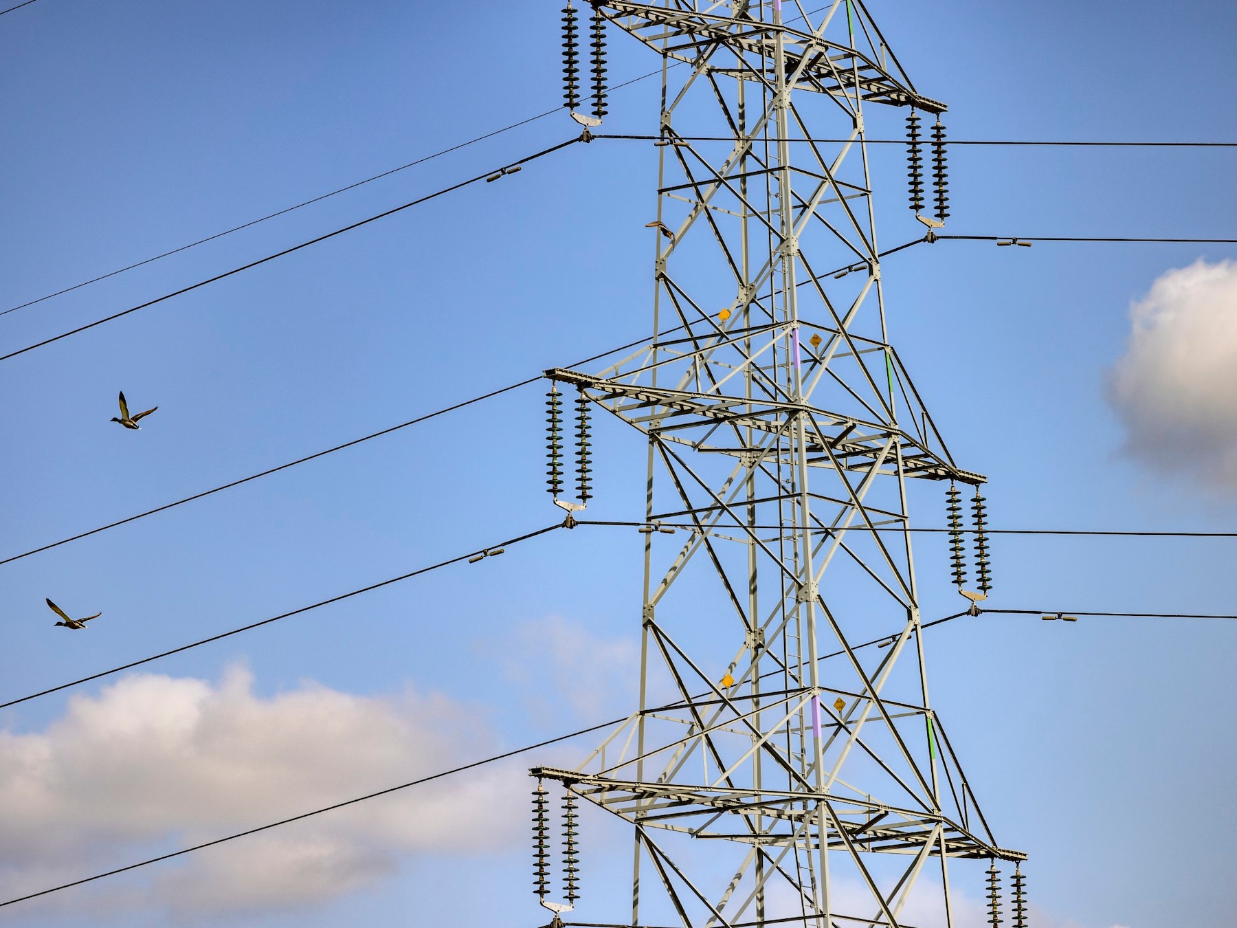 Explosie en gifwolk in Borculo: dit is wat we nu weten | Berkelland | AD.nl