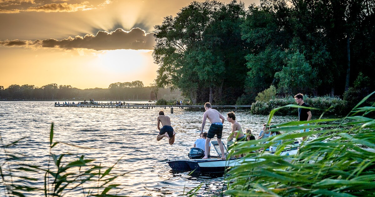 Waarschuwing voor groei blauwalg in Bergse Voorplas en andere ...