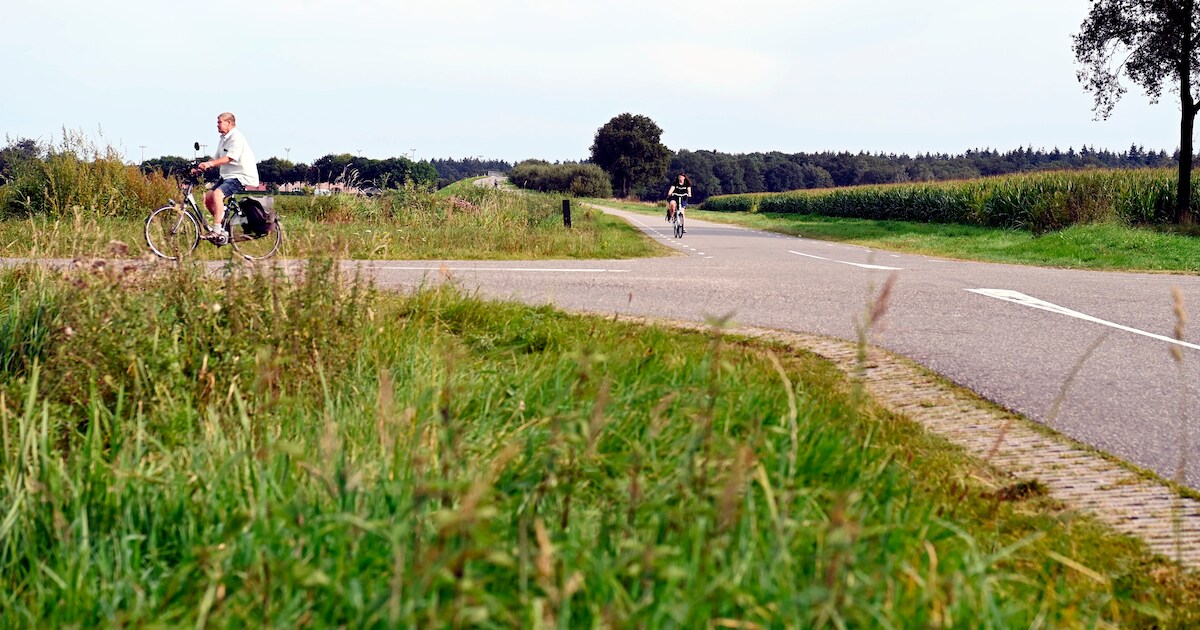 Papier uit bermgras, dit Alphense bedrijf flikt het | Alphen aan den ...
