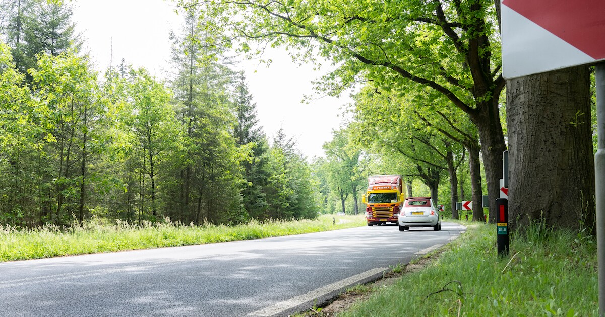 N315 wordt een stukje breder en krijgt veilige bochten; provincie legt ...