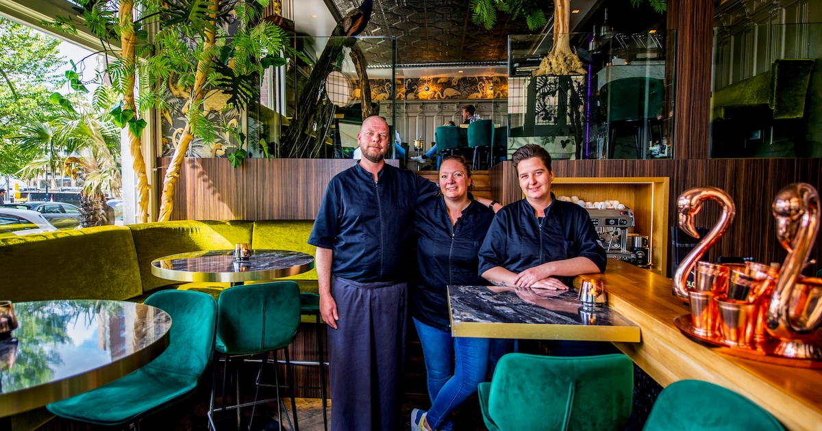 Bij Yolo vier je het leven (en heb je schijt aan je portemonnee ...