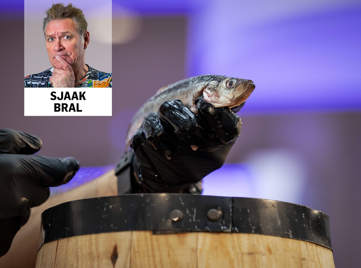 Haringen communiceren door scheten te laten, da’s toch het ultieme ...