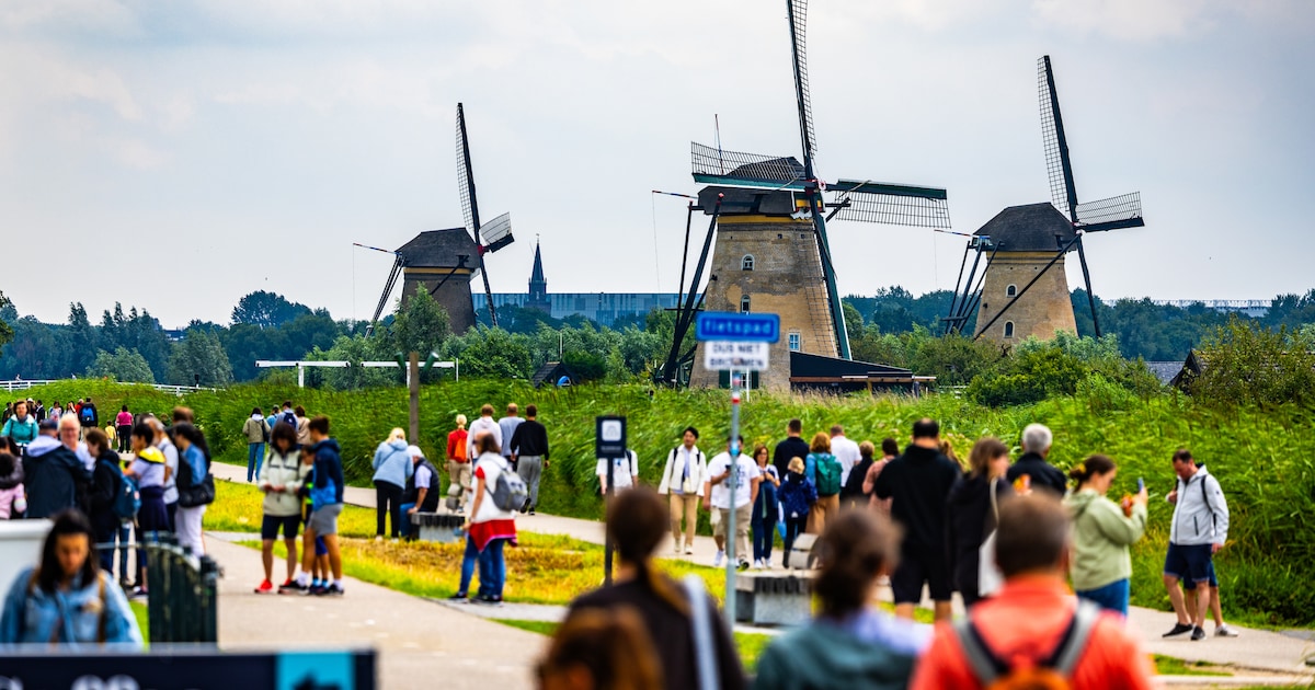Molengebied Kinderdijk verwacht flinke groei aantal bezoekers, maar ...