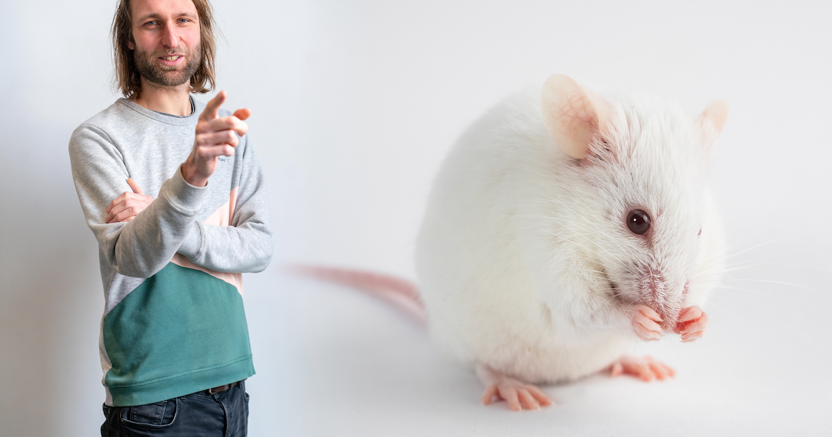 Niemand anders behalve ik zag de schichtige muis met zijn smerige ...