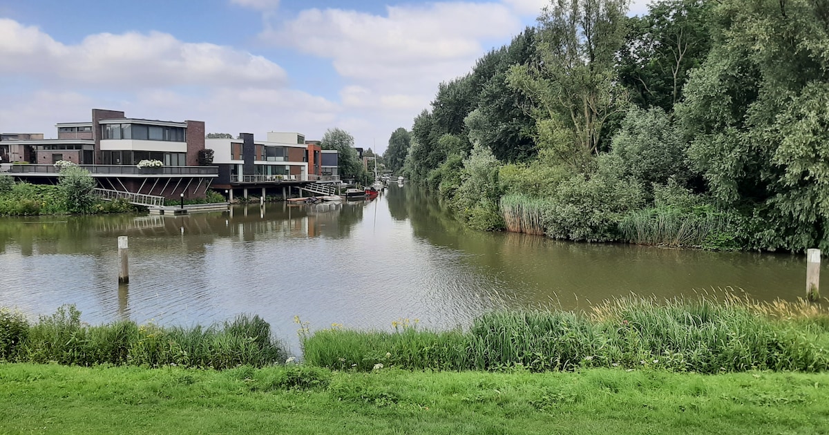 Pontje of brug tussen villawijk en Plan Tij definitief van de baan ...