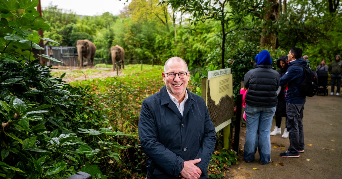 Blijdorp gooide het roer radicaal om, bezoeker: 'Als ze de dieren hier ...