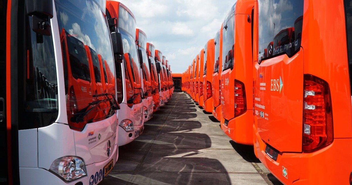 Stakingen ov zorgen voor overlast; chaos bij haltes | Den Haag | AD.nl