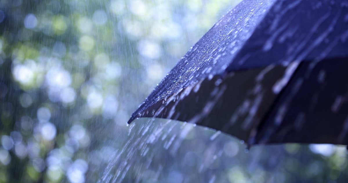 Gemeente Heusden plant aanleg nieuwe waterberging in Drunen-Noord ...