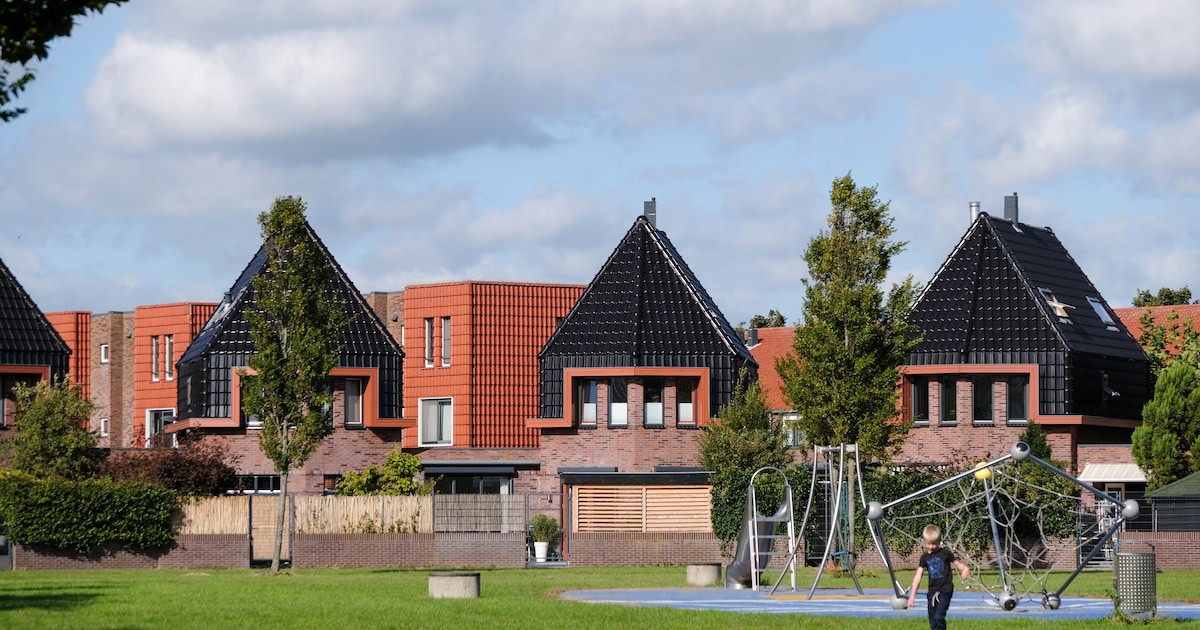 Hoe Vinex-wijken zijn veranderd in hoogopgeleide enclaves: ‘Bouw dit ...