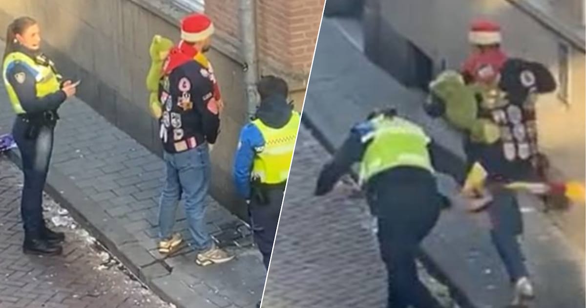 Hondsbrutale carnavalsvierder fopt boa’s tijdens wildplassen en slaat ...