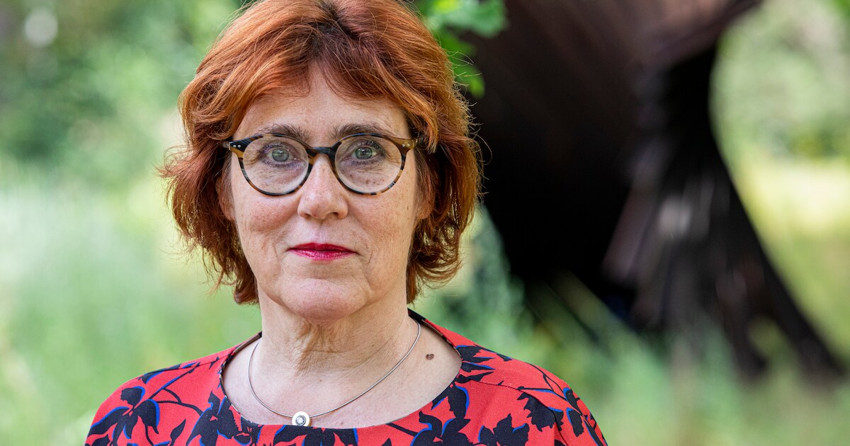 Laatste verlenging ziekteverlof wethouder Peet van de Loo | Waalre | AD.nl