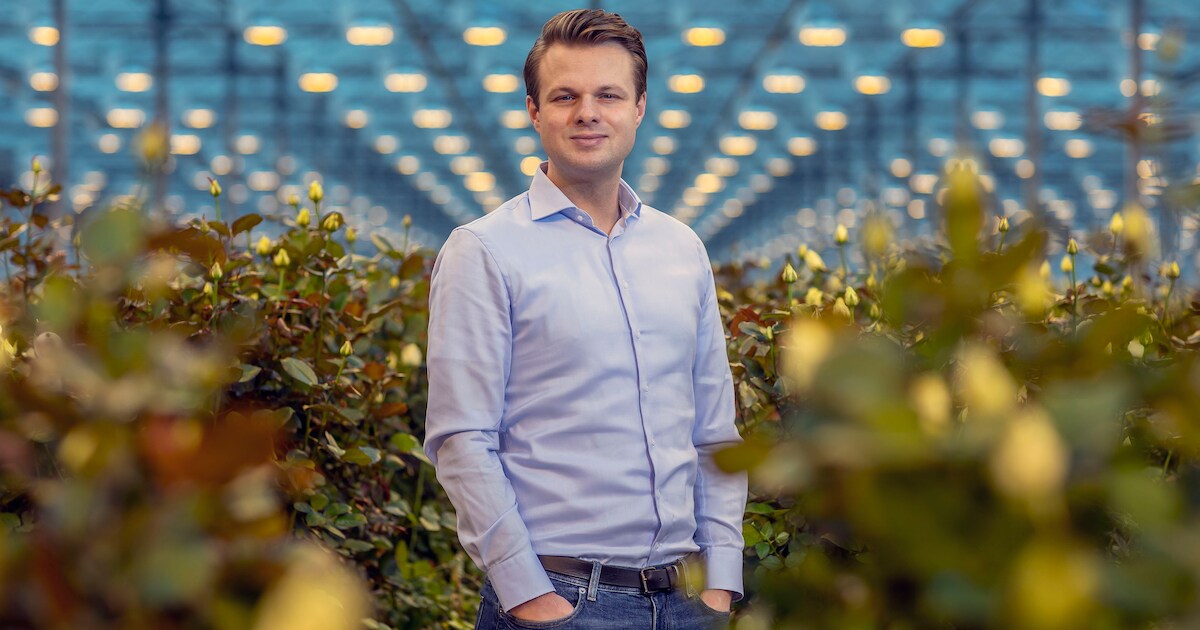 Peter Valstar helpt Westlandse tuinders vanuit Den Haag: ‘Verduurzamen ...