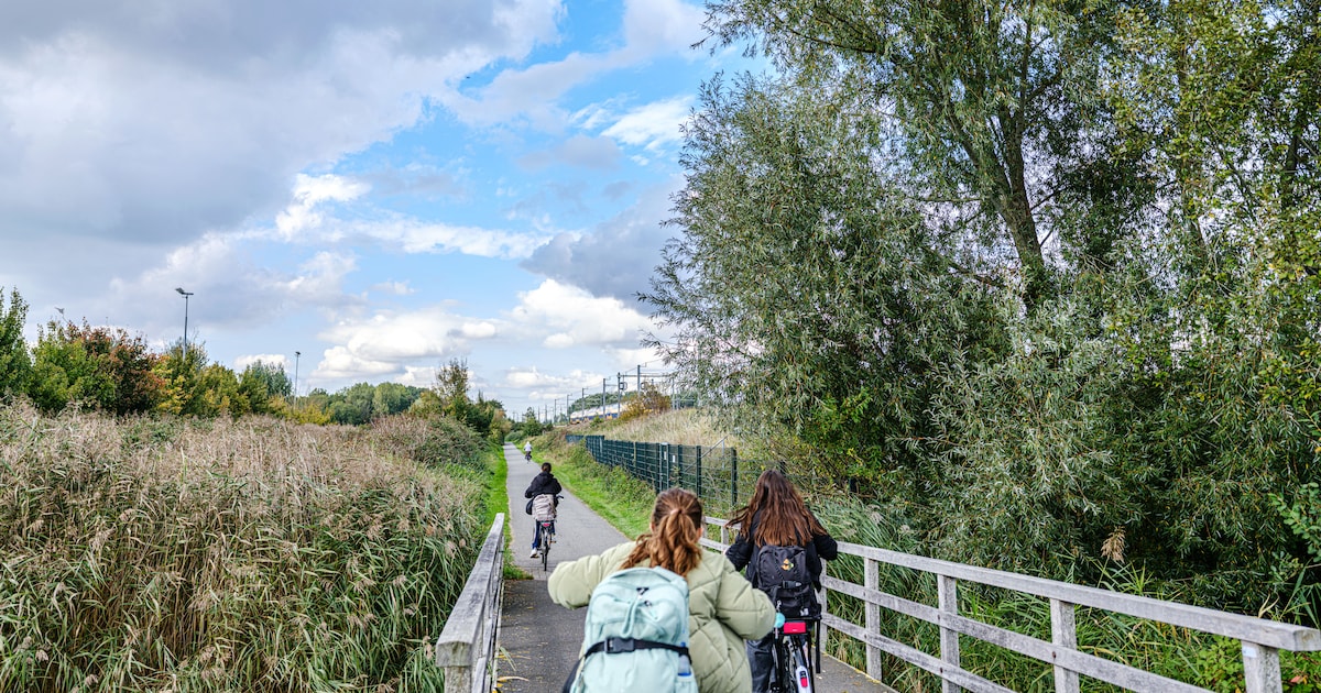 Route Abcoude-Amsterdam geldt als gevaarlijk en moet veiliger ...