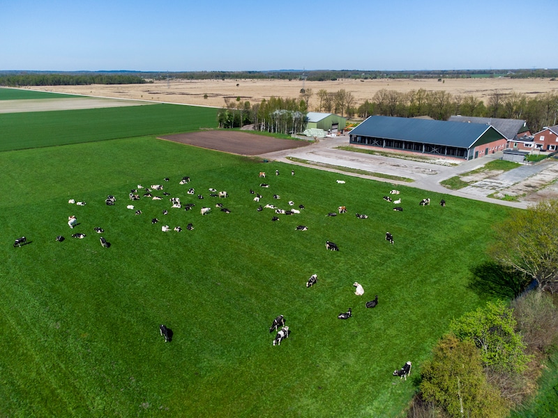Onvrede over koers Wierdense Veld: boeren zeggen vertrouwen op | Regio ...