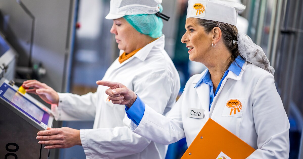 Vegasnack rukt op in het vriesvak | Koken & Eten | AD.nl