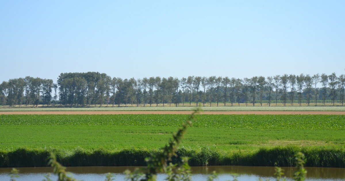 Filmopnames Noord-Beveland starten binnenkort | Noord-Beveland | AD.nl