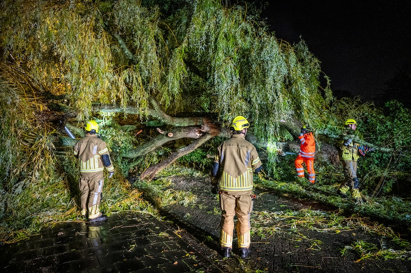 Overlast door storm Benjamin: boom waait om, tunnel loopt onder water ...