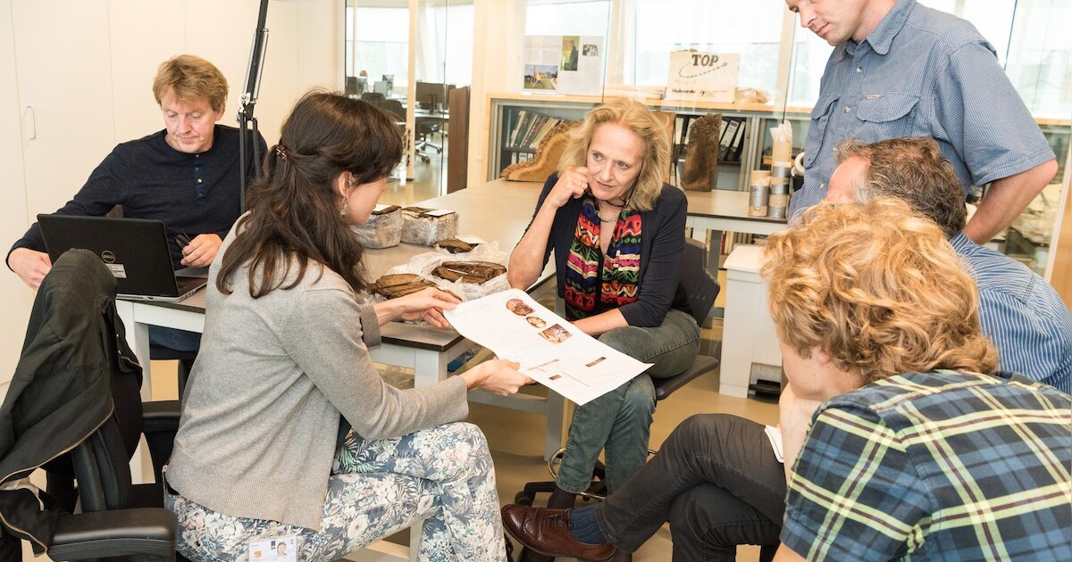 Oerbos kan theorie plotse ijstijd bevestigen | Amersfoort | AD.nl