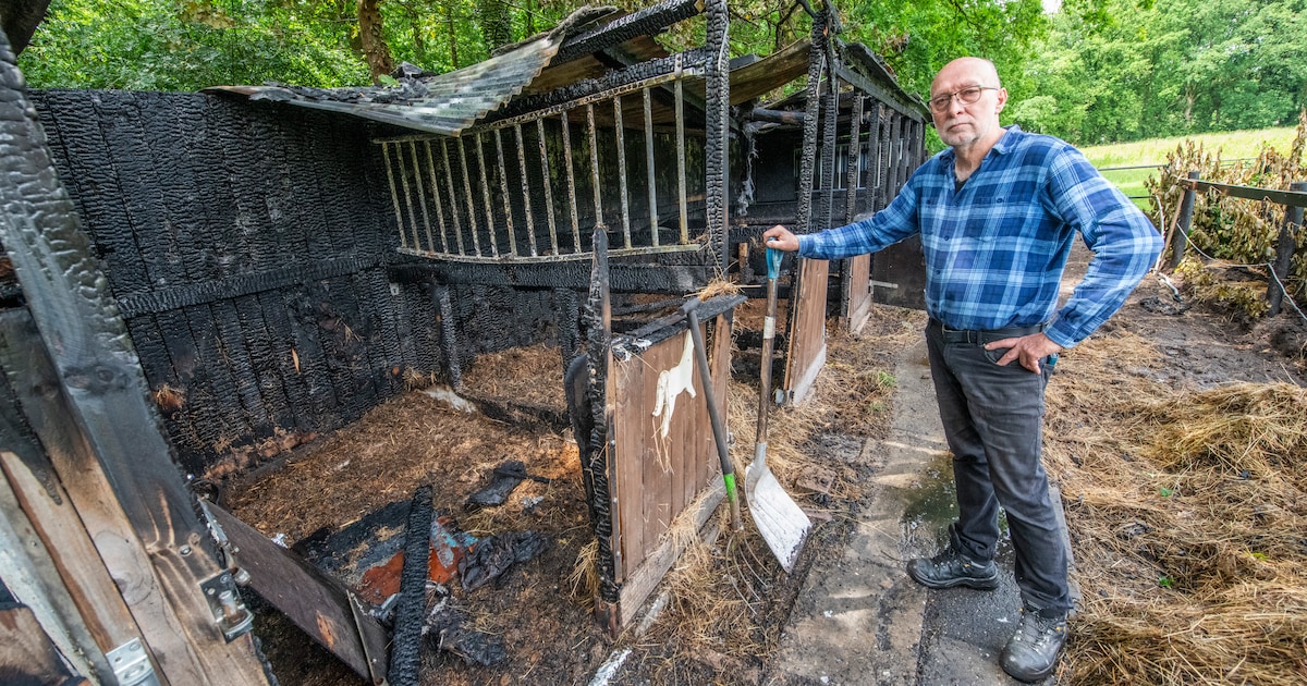 Paul (61) rijdt bijna iemand aan onderweg naar brand: diegene blijkt de ...