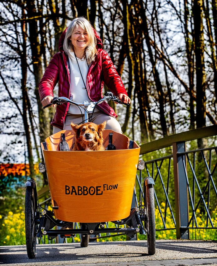 Dit zijn de beste elektrische bakfietsen | Fietstest 2023 | AD.nl