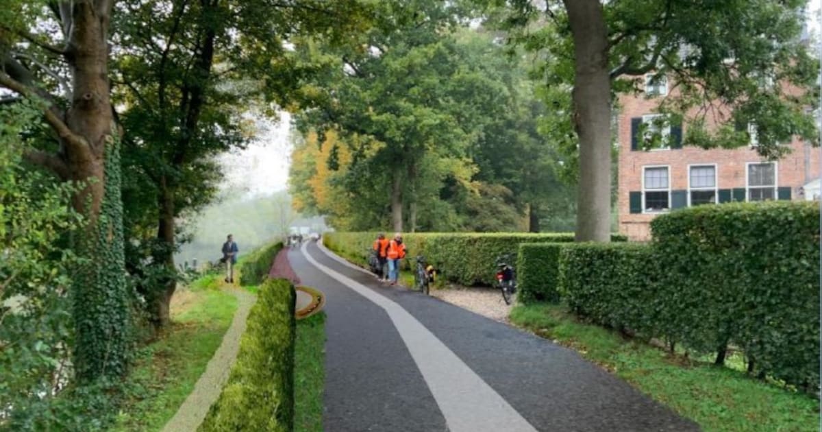Auto’s, fietsers en wielrenners op een smalle weg langs de Vecht: dit ...