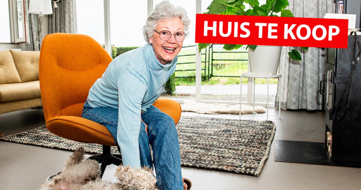 Drie ‘appartementen’ onder één dak: als je het huis van Arlette koopt ...