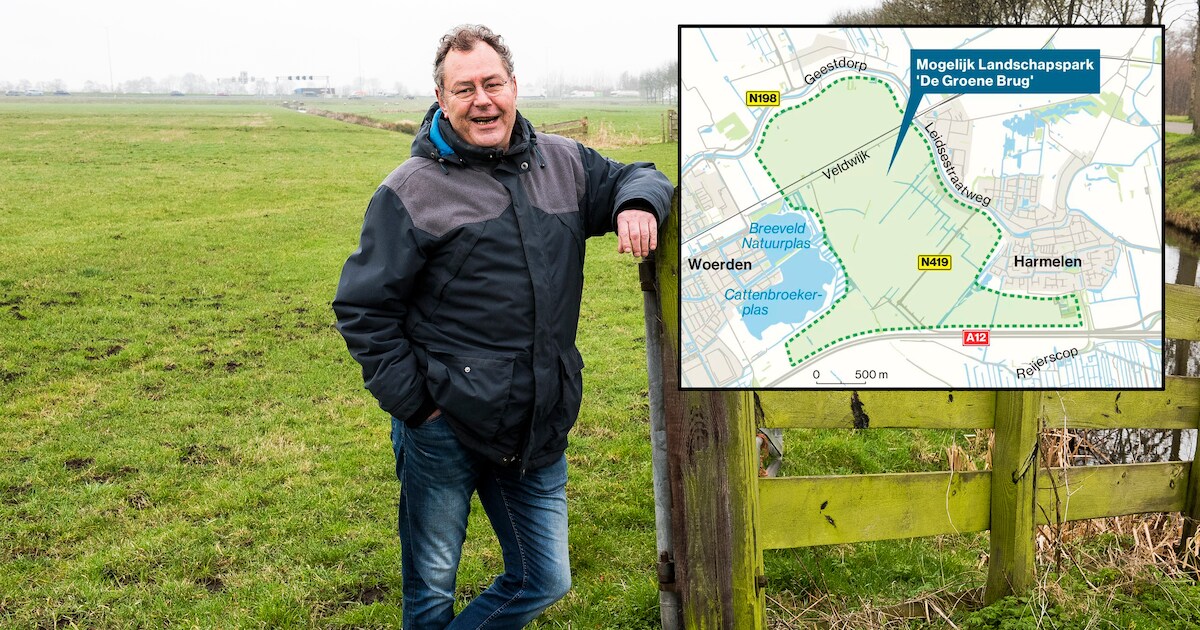 Groot stuk bos langs de A12? Plan van bewoners valt in de smaak: ‘Er is ...