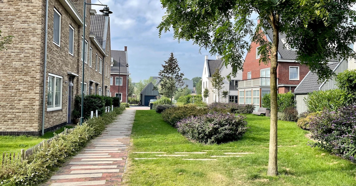 Bouw nieuwe woonwijk De Beaugaard kan over een jaar van start | Voorne ...