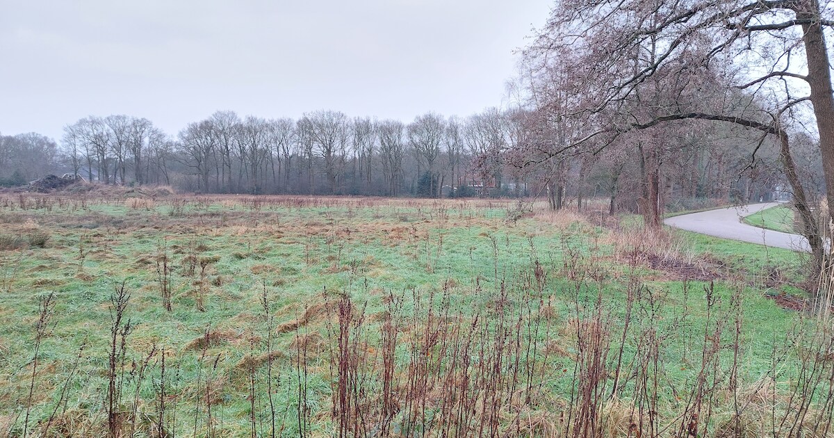 43 mag, maar Ermelo blijft zich inzetten voor opvang van 160 asielzoekers | Ermelo | AD.nl