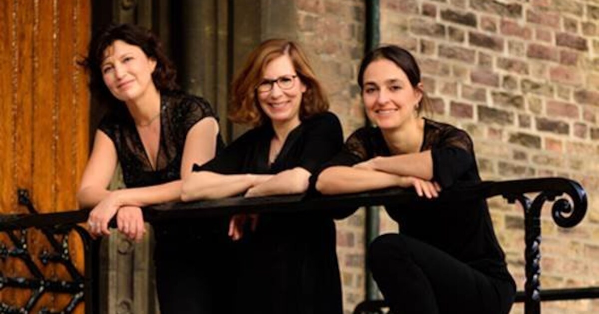 69e Kamermuziekcyclus Theo Driessen van start | Helmond | AD.nl