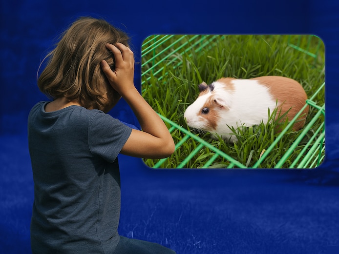 Charo brak tijdens het oppassen de nek van de cavia van haar vriendje ...